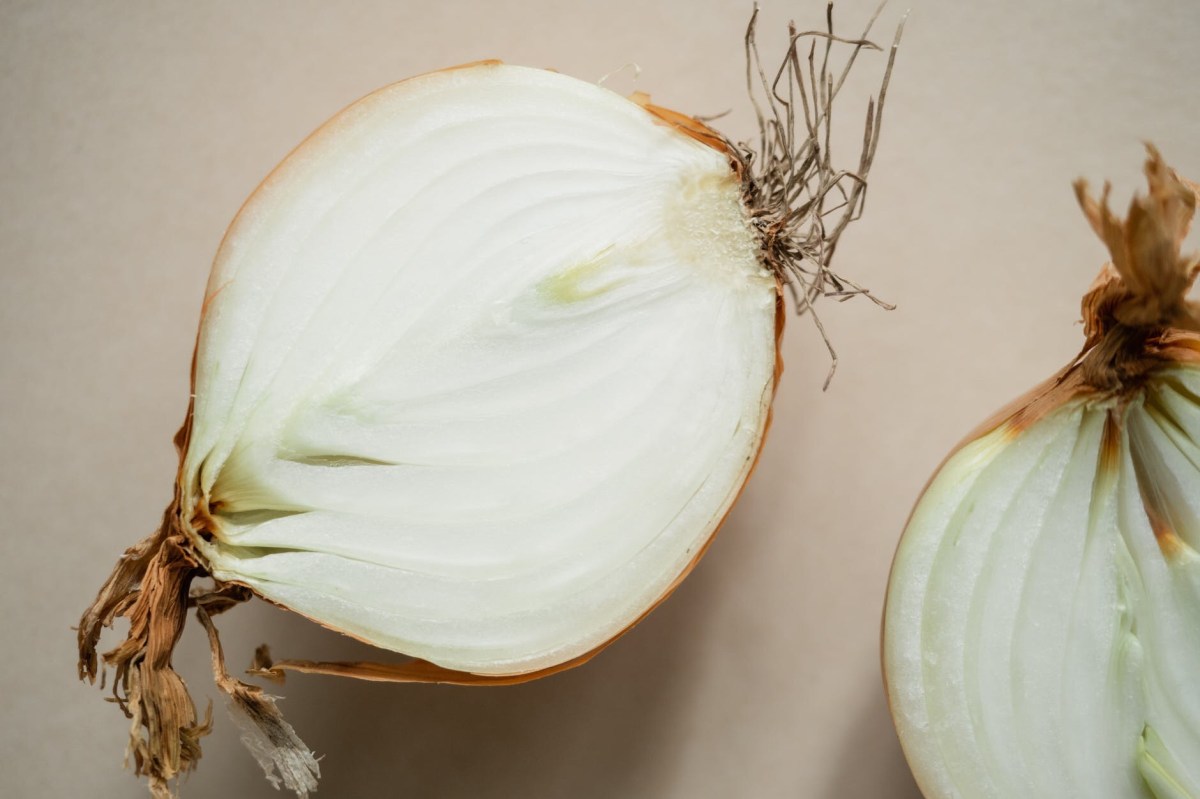 The Onion Principle || Das Zwiebel Prinzip – MurmelMeister